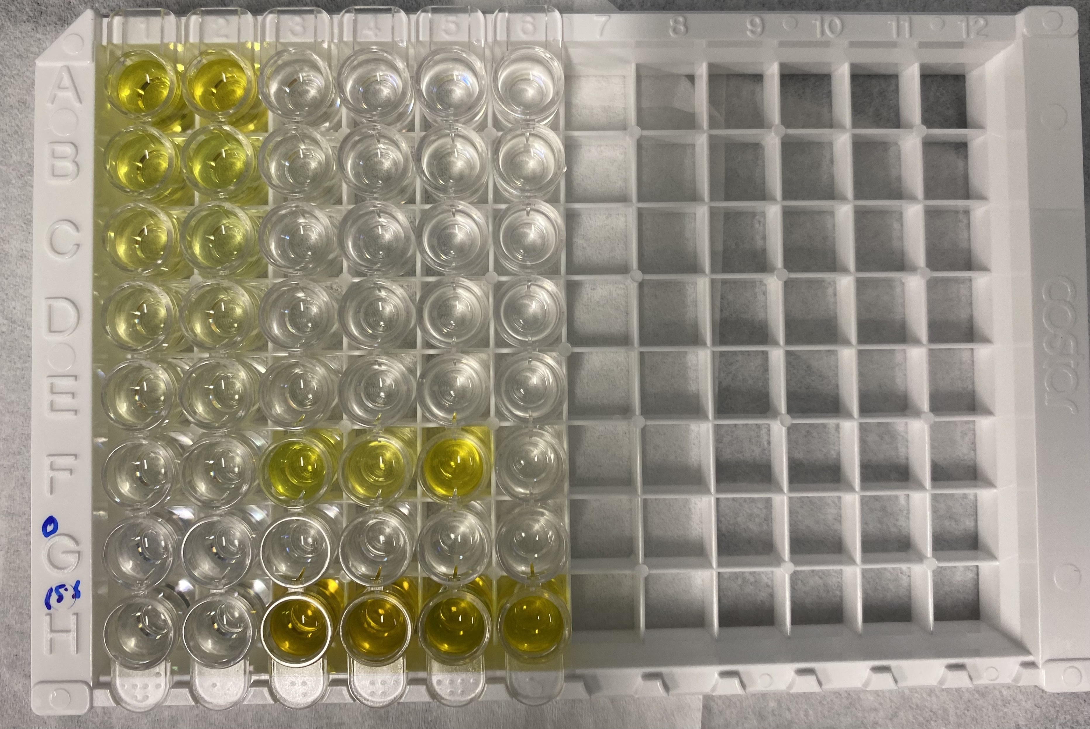 Human IFN-gamma ELISA Kit - Quantikine DIF50C | Bio-Techne