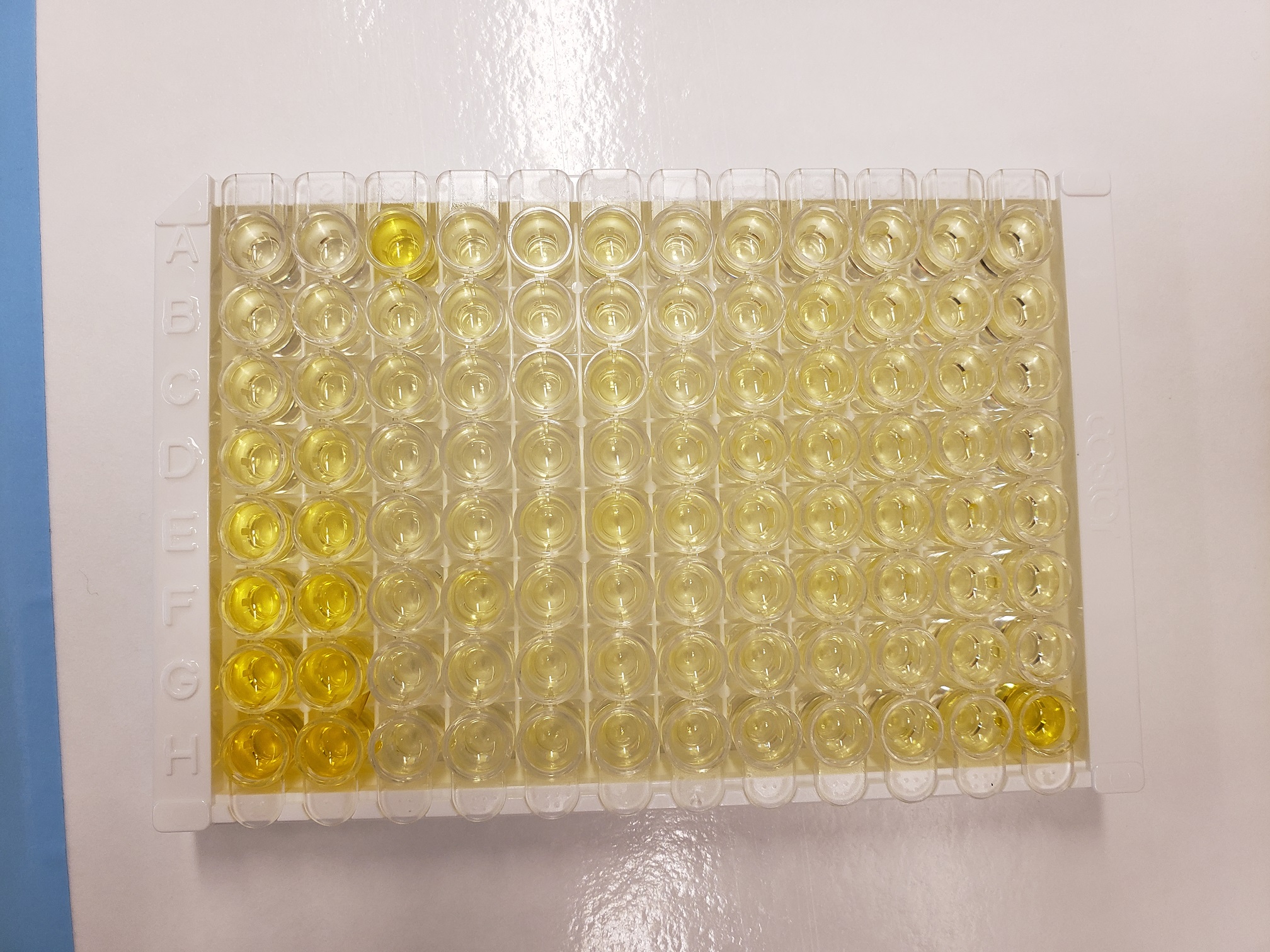 Human IL-1 beta/IL-1F2 Quantikine HS ELISA Kit (HSLB00D) | Bio-Techne