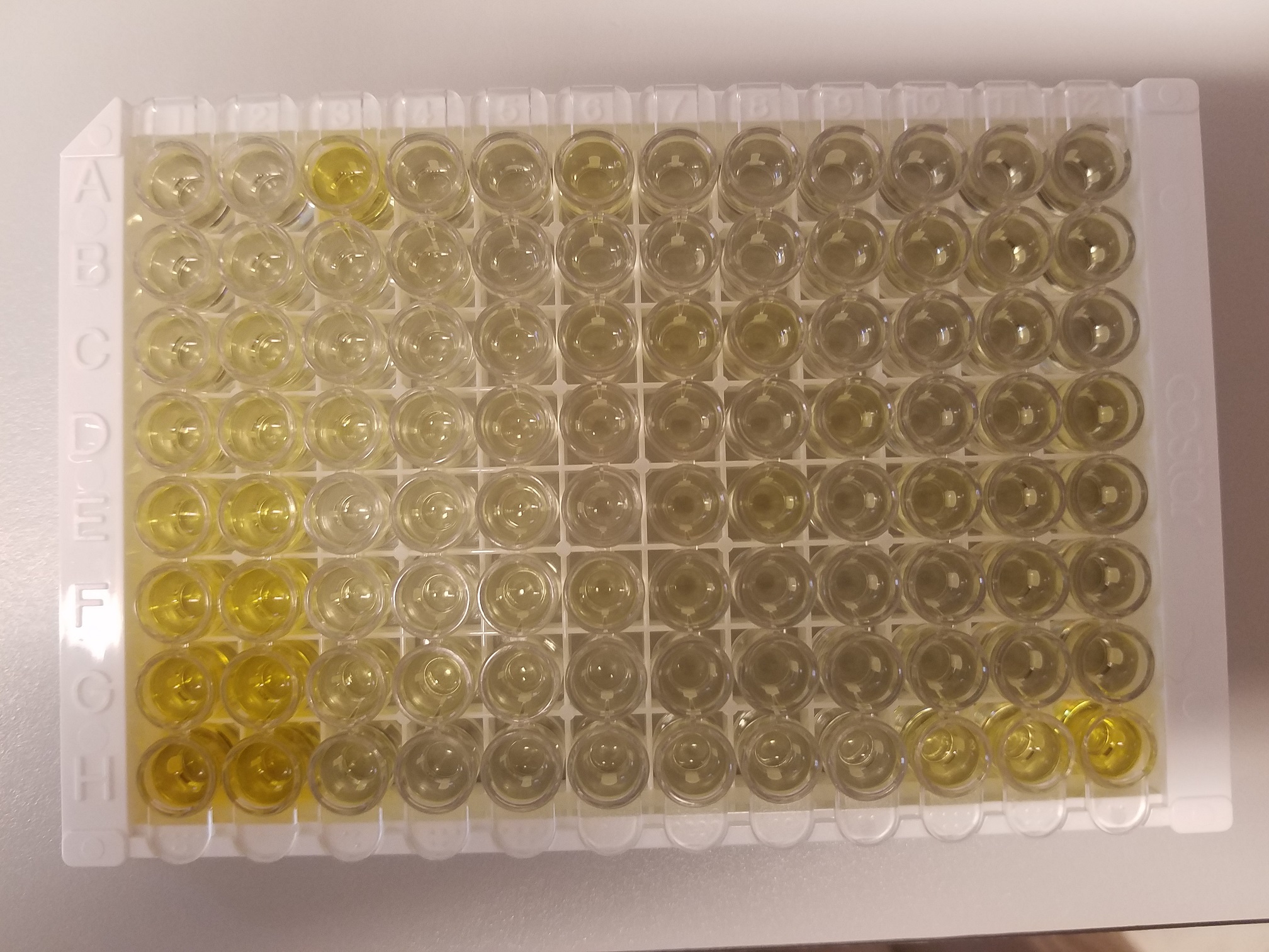 Human IL-1 beta/IL-1F2 Quantikine HS ELISA Kit (HSLB00D) | Bio-Techne