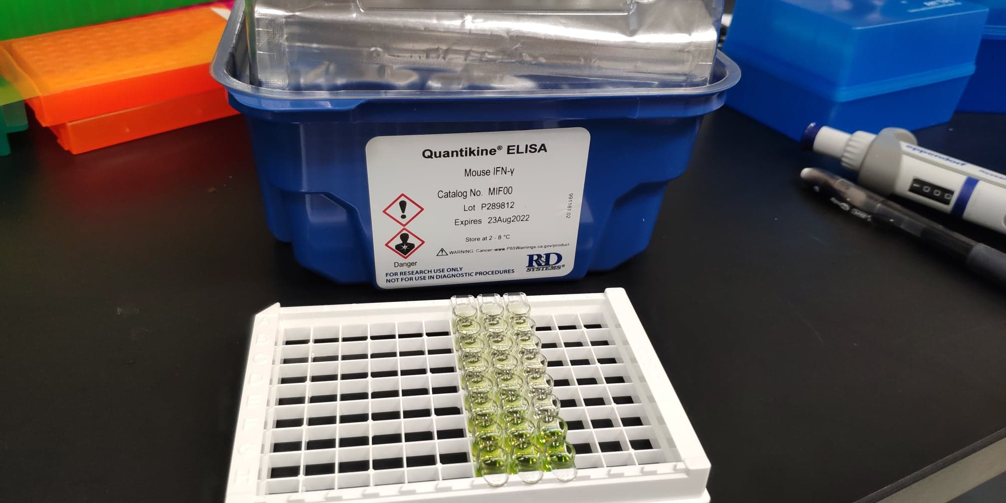 Mouse IFN-gamma Quantikine ELISA Kit (MIF00) | Bio-Techne