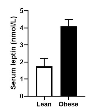 Mouse/Rat Leptin Quantikine ELISA Kit (MOB00B) | Bio-Techne