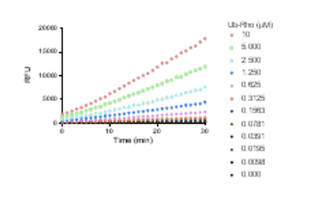 Recombinant Human Ubiquitin AMC Protein, CF (U-550) | Bio-Techne